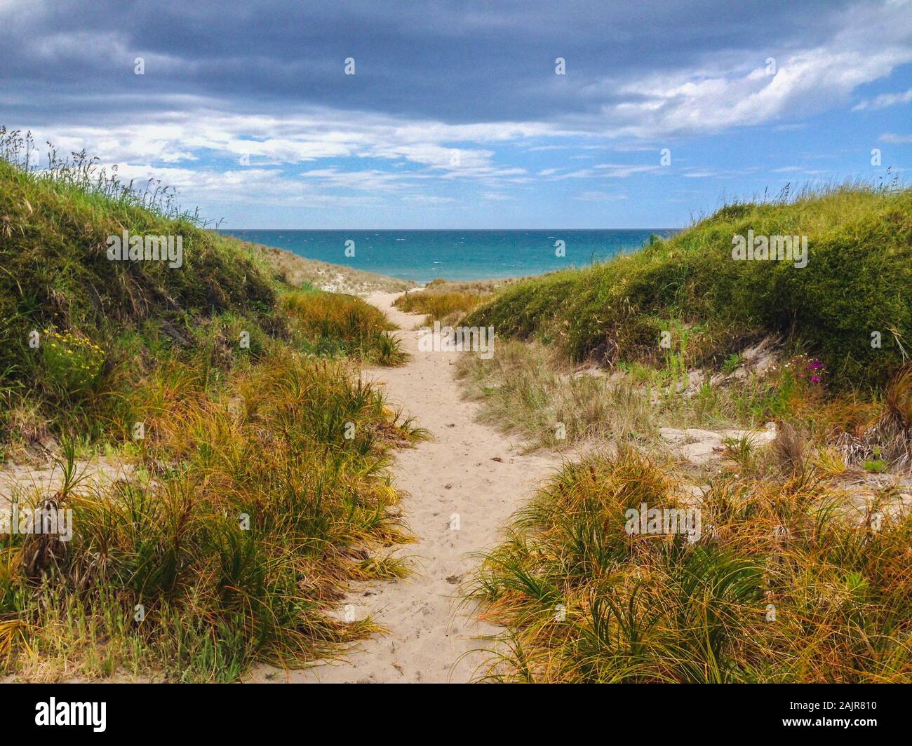 small sandy walkway leads to the beach, North Island, New Zealand Stock ...