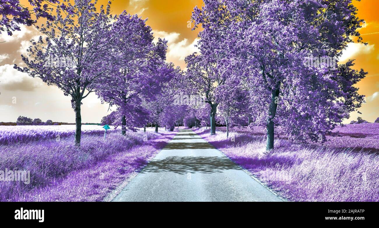 Beautiful purple infrared shot of a road in a landscape enviroment ...