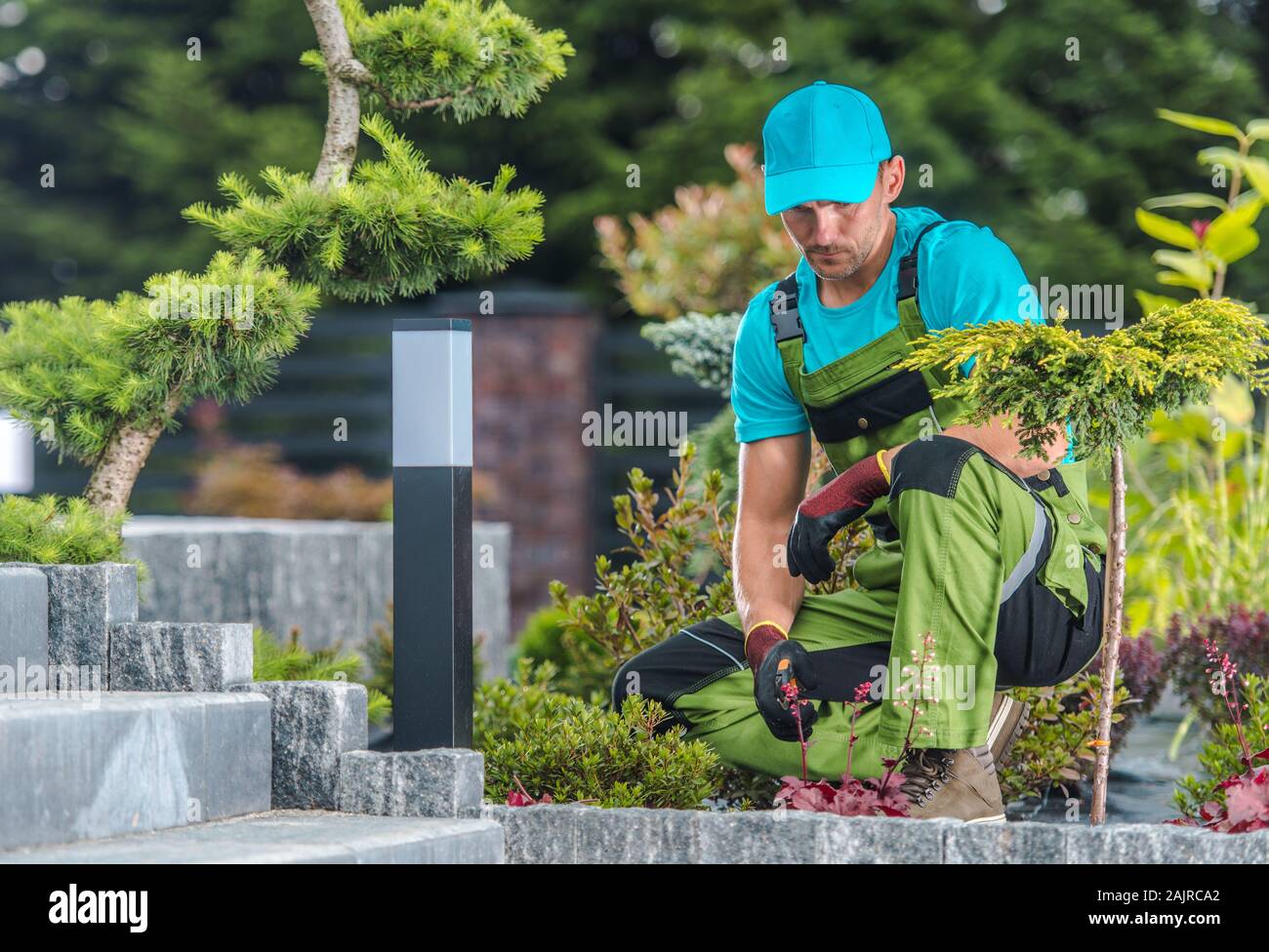 Professional Gardener Doing His Job in a Backyard Garden. Trimming ...