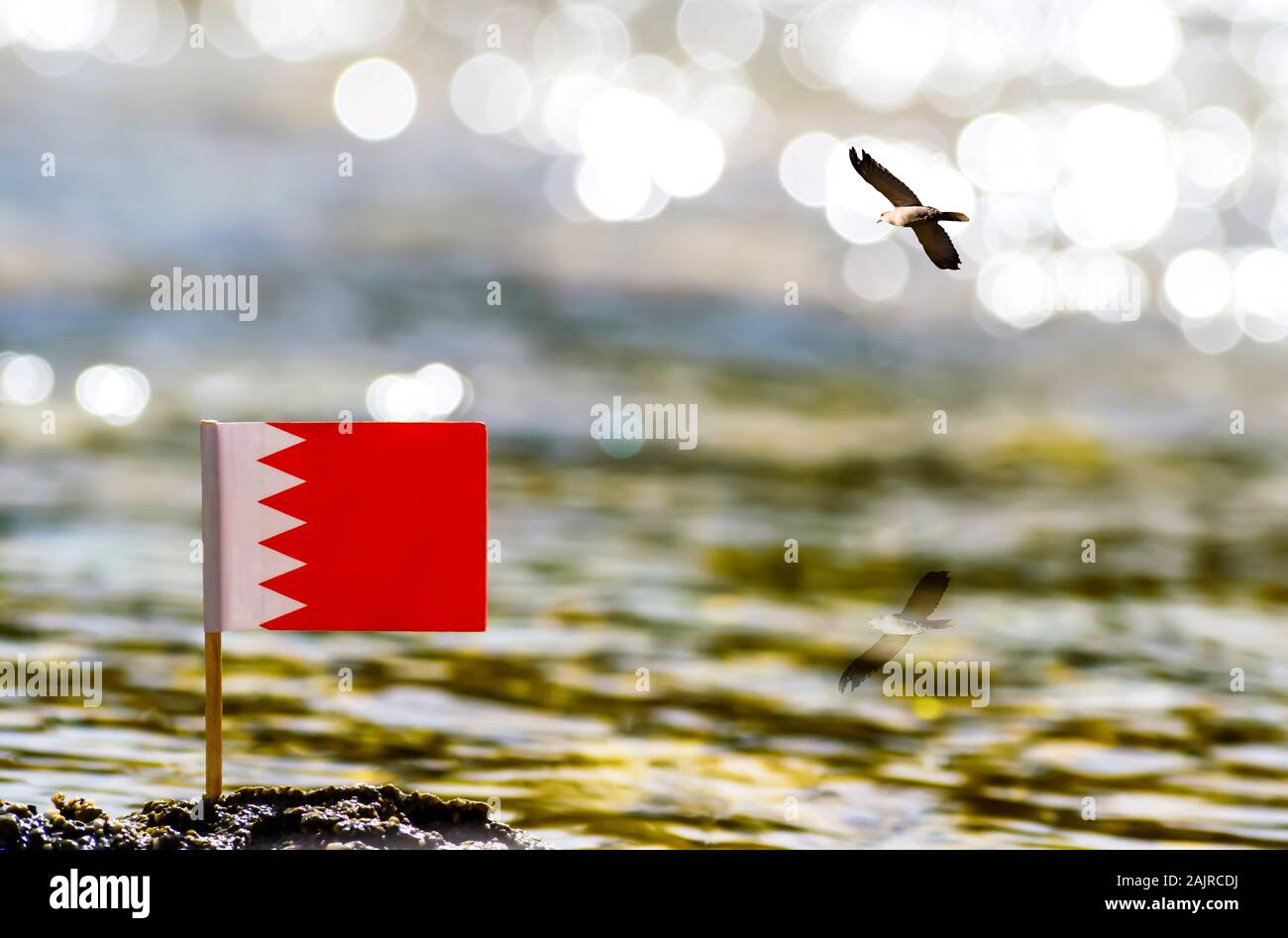 Bahraini hi-res stock photography and images - Alamy
