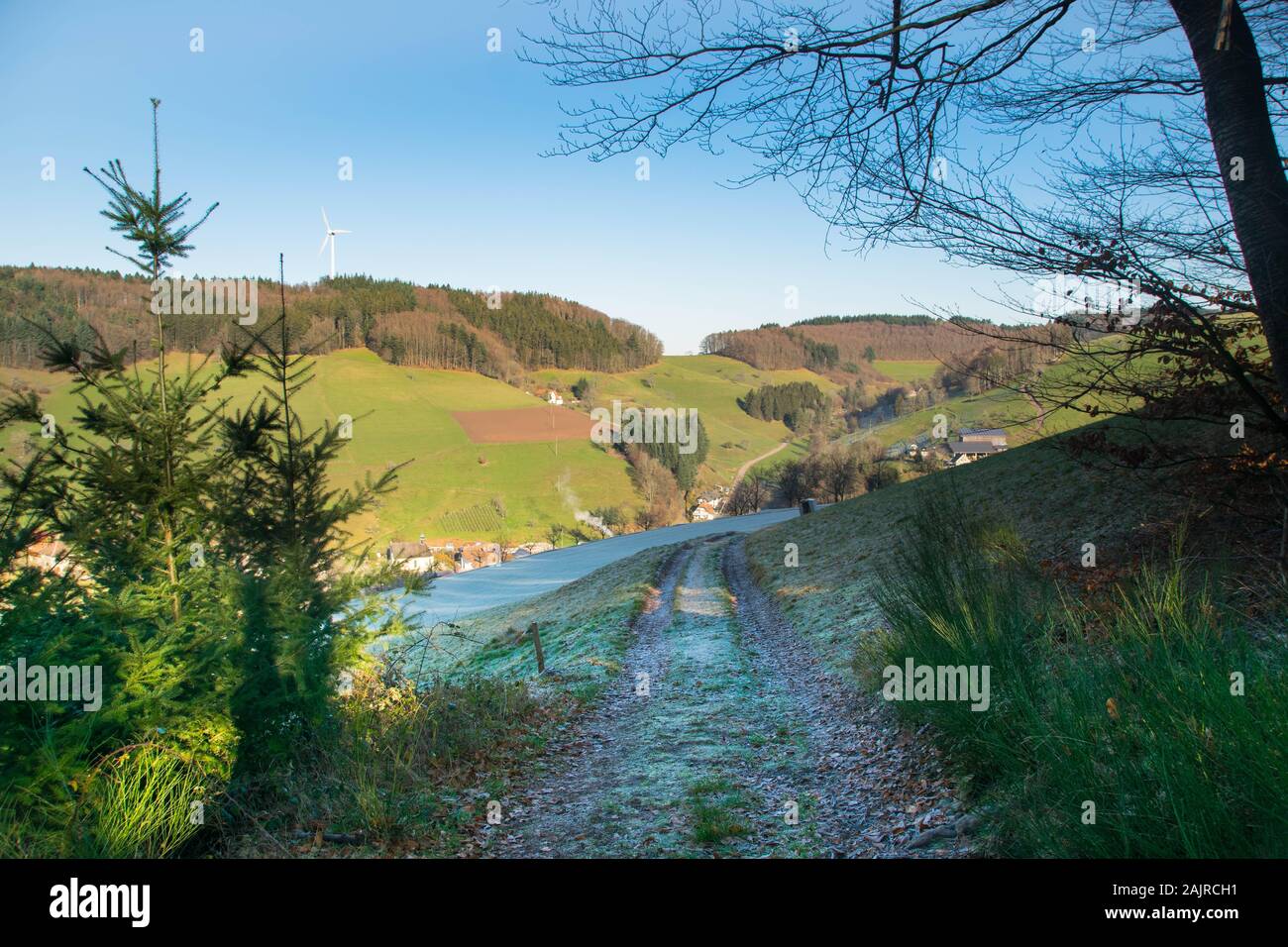 In the heights of Freiamt in the black forest in Germany Stock Photo ...