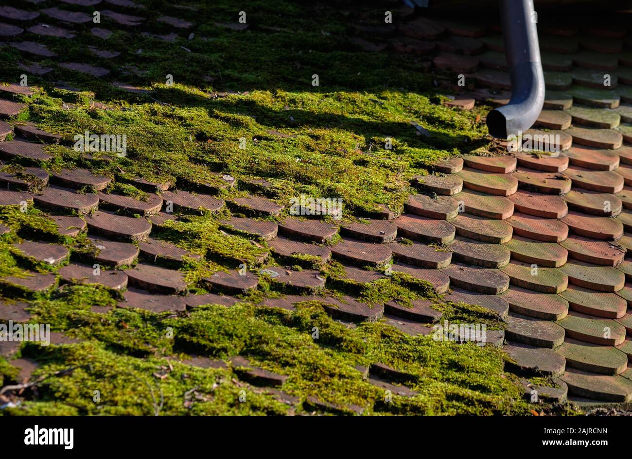 A rain gutter and an old roof with moss on it in Germany Stock Photo ...