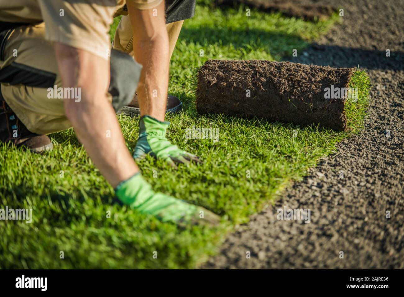 Professional Landscaper Lay Natural Grass Turfs. Natural Grass ...