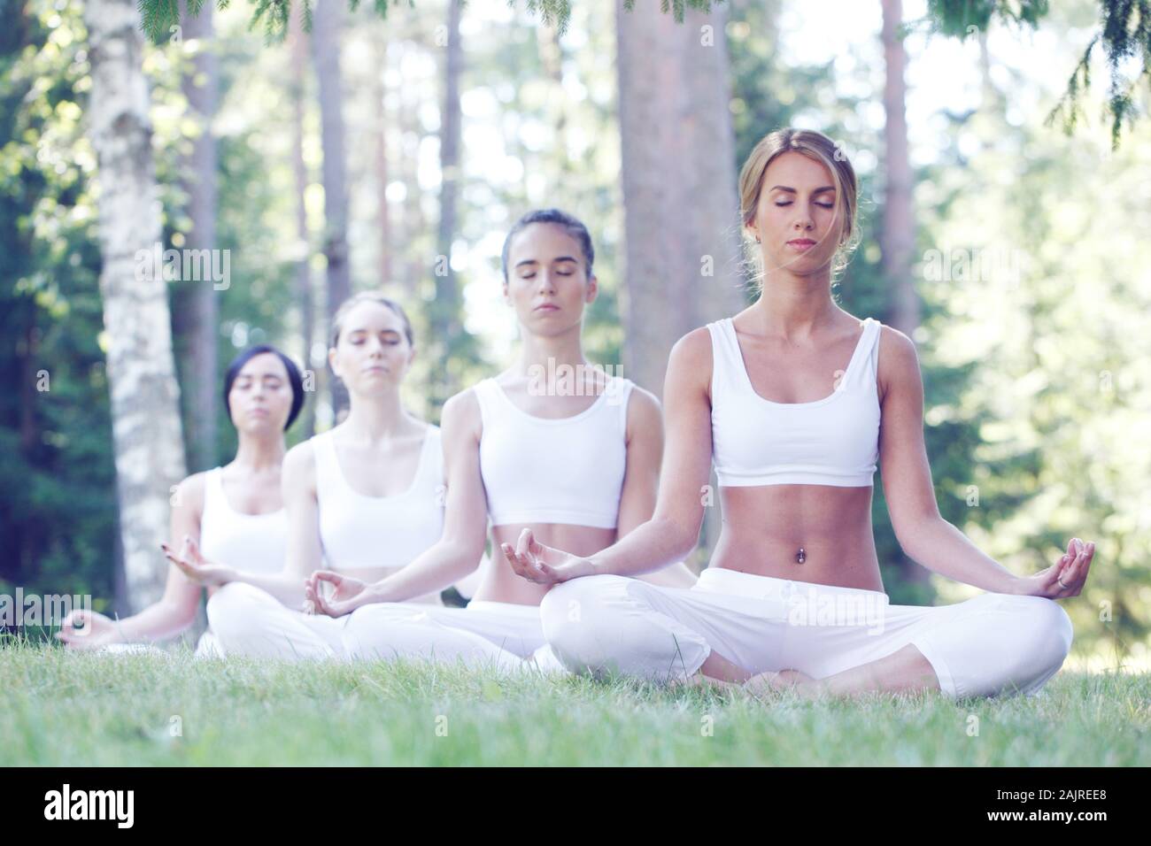 Lotus tank hi-res stock photography and images - Alamy