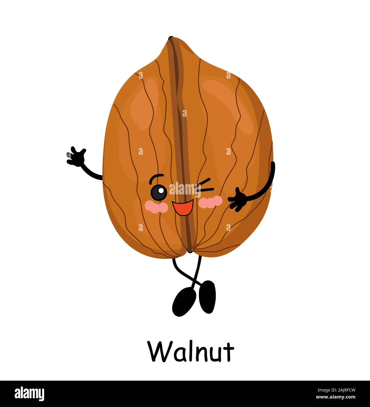 Walnut. illustration. Walnut character isolated on white background ...