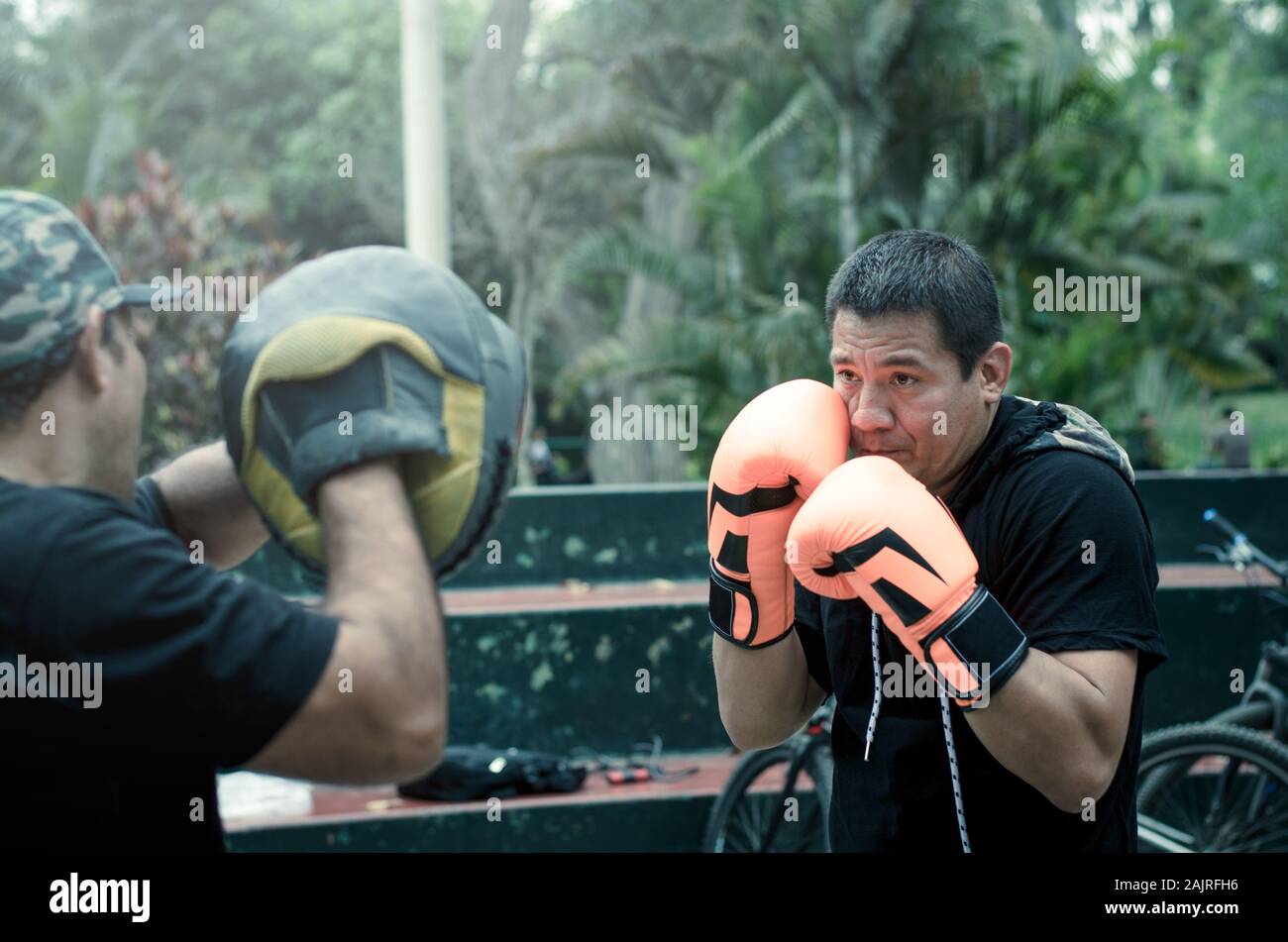 boxing outdoor workout with trainer, punching exercises with personal ...