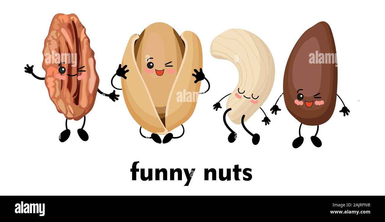 Cute cartoon character. Walnut character. illustration isolated on ...
