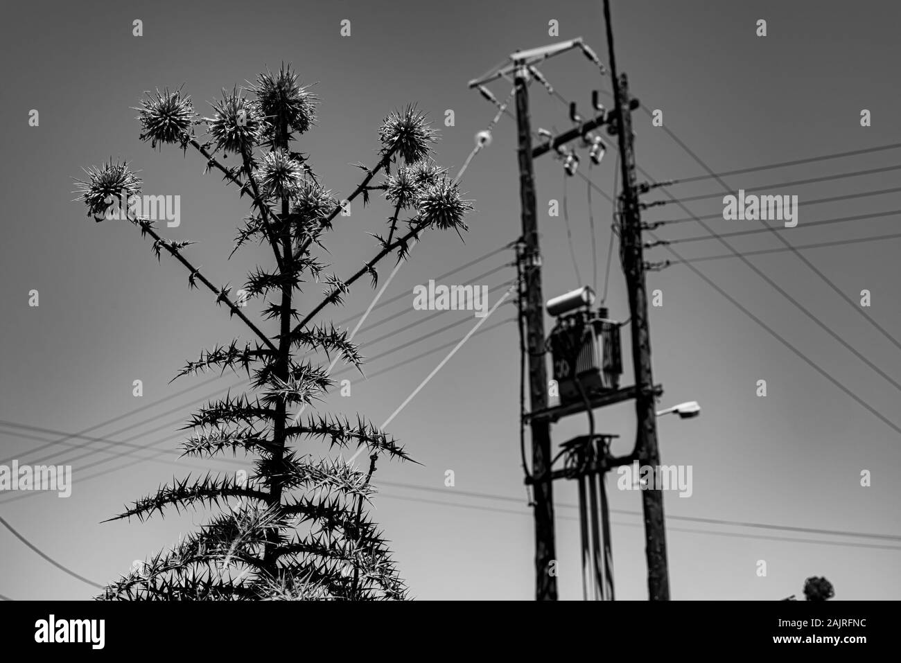 Crossing power lines Black and White Stock Photos & Images - Alamy