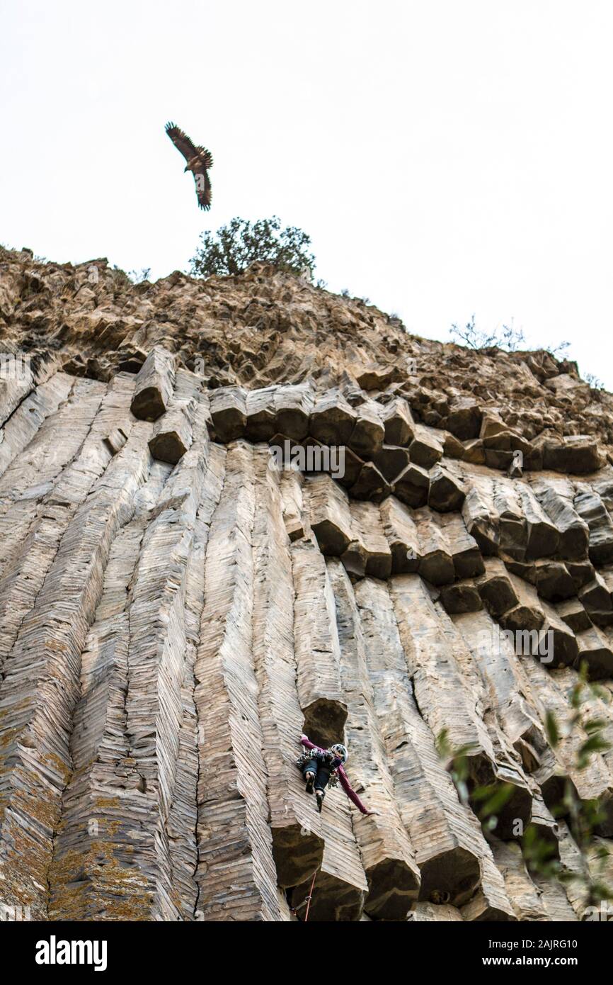 Kate rutherford hi-res stock photography and images - Alamy