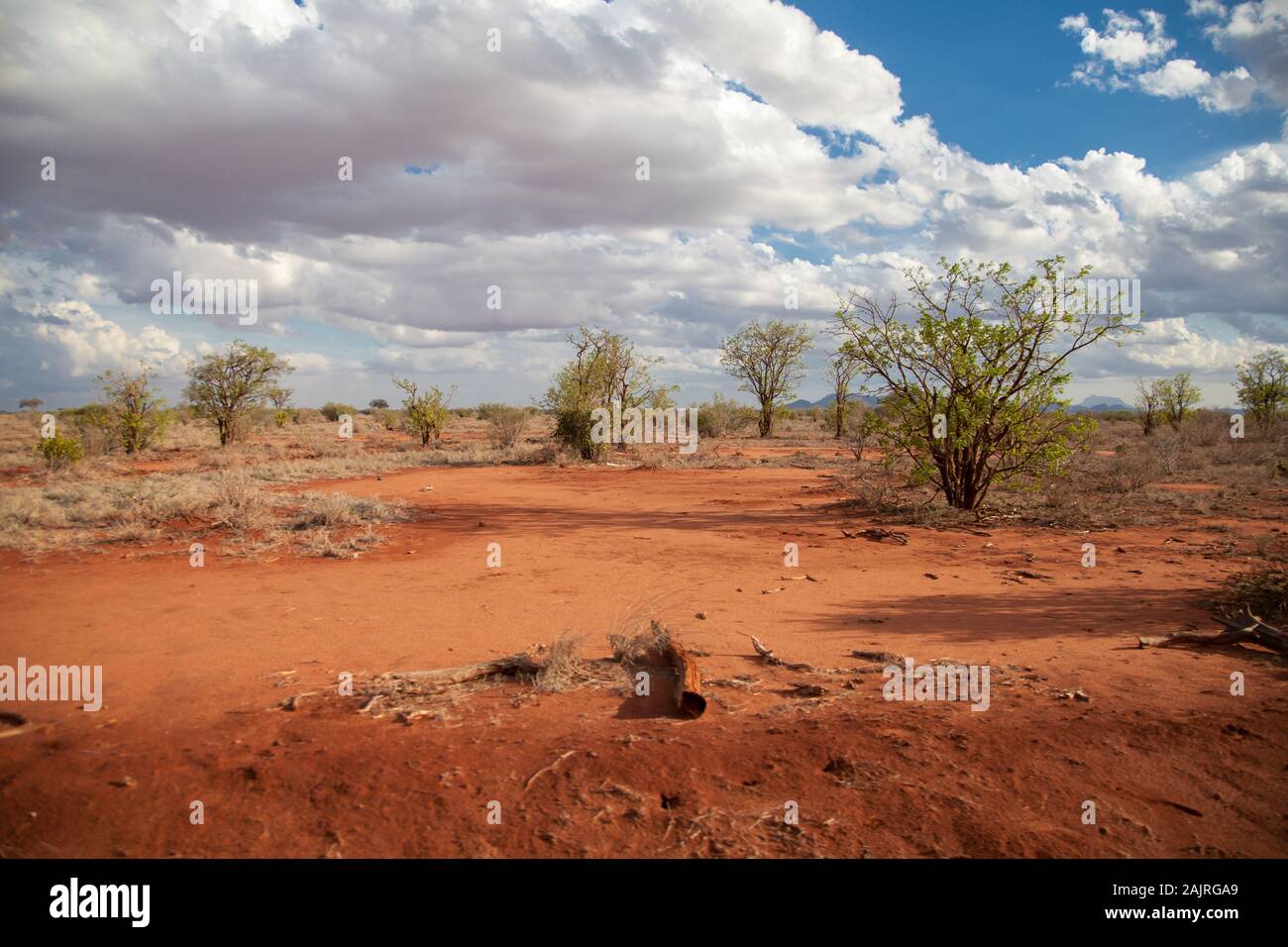 Scenery with red soil, on safari in Kenya Stock Photo - Alamy