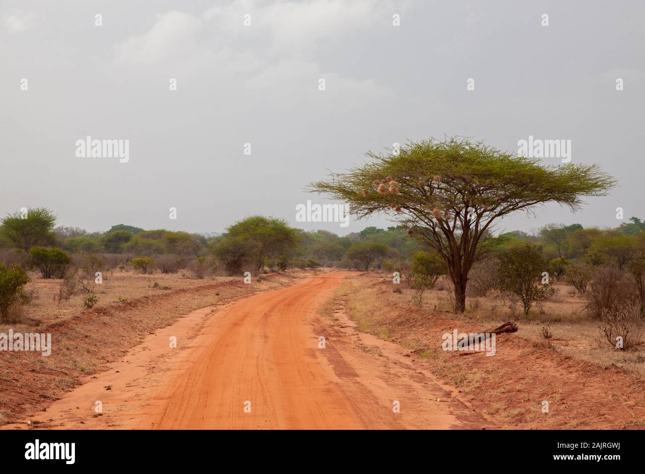 Red soil landscape hi-res stock photography and images - Alamy
