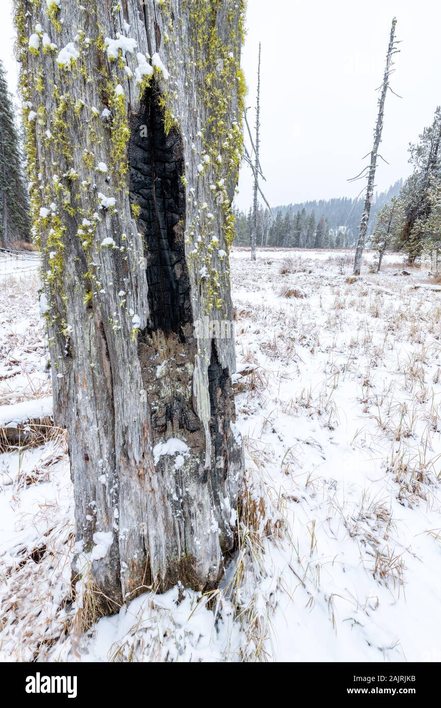 Burn scar hi-res stock photography and images - Alamy