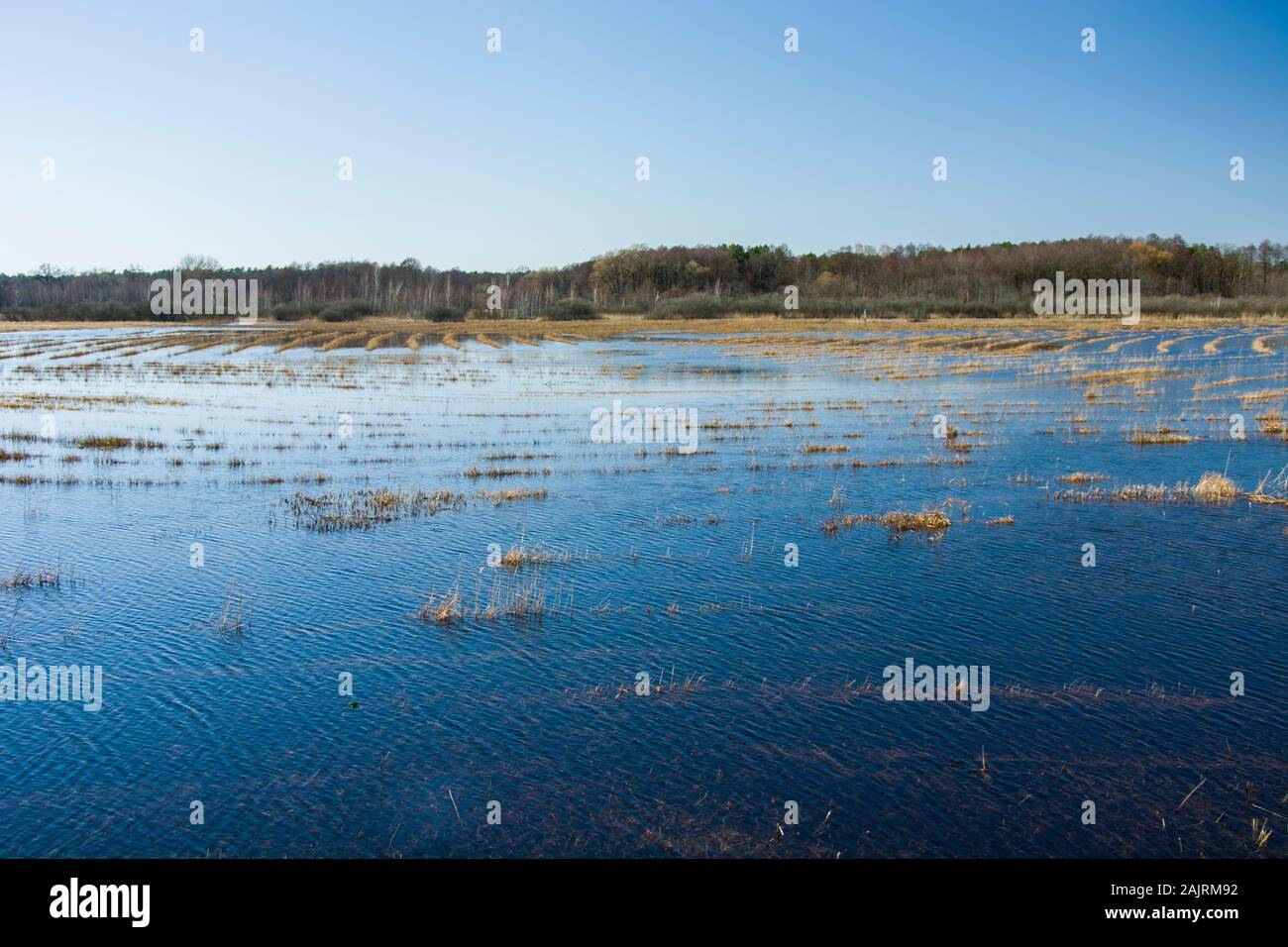 Wet and wild water park hi-res stock photography and images - Alamy