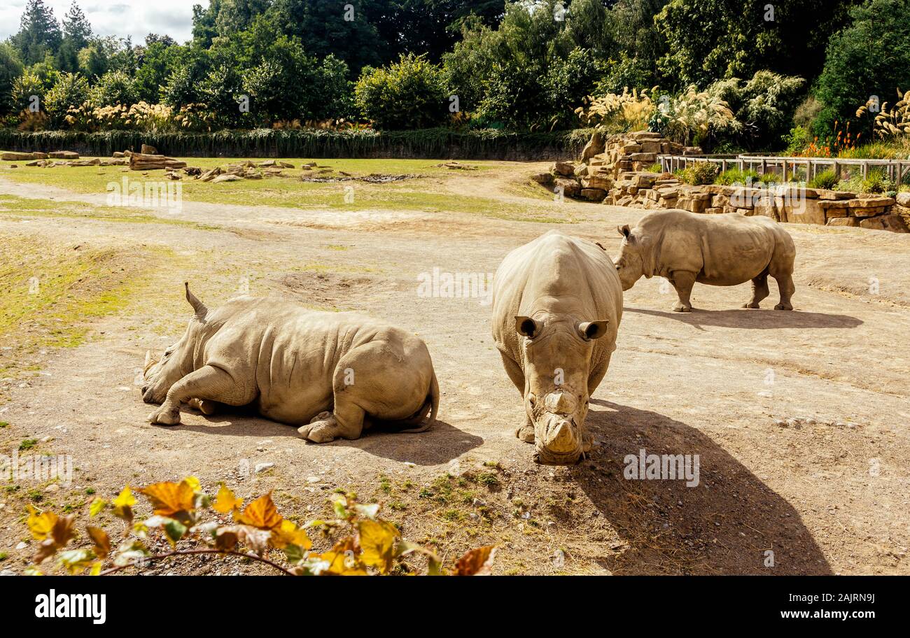 Three rocks dublin hi-res stock photography and images - Alamy