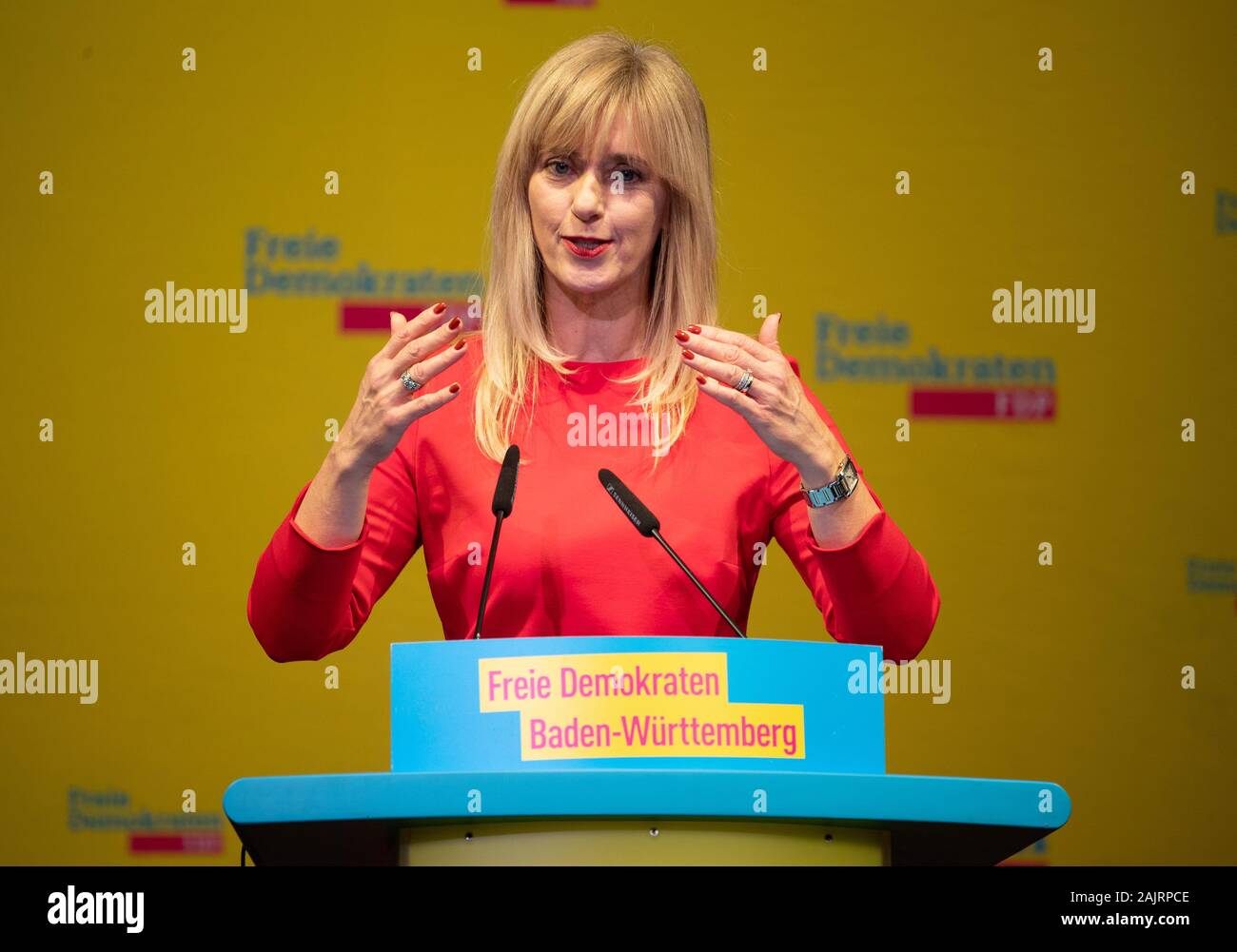Fellbach, Germany. 05th Jan, 2020. Renata Alt, deputy chairwoman of the ...