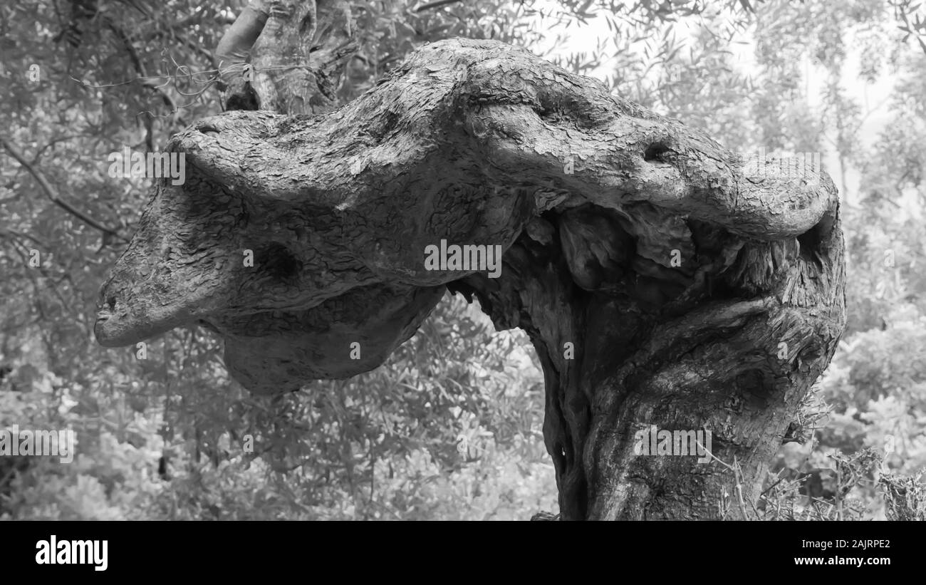 Like a sculpture Black and White Stock Photos & Images - Alamy