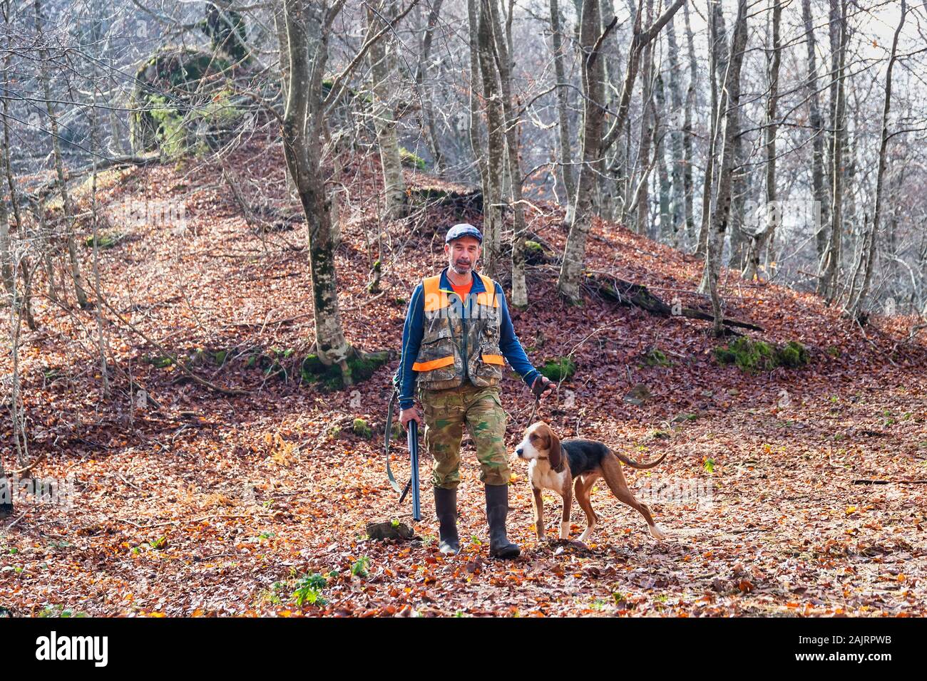 Dog chase man hi-res stock photography and images - Alamy