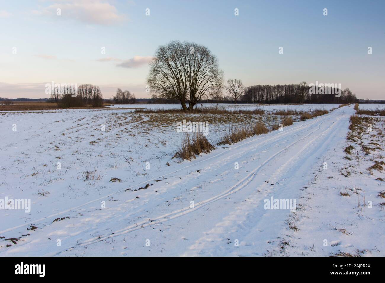 A dirt road covered in snow Stock Photo - Alamy