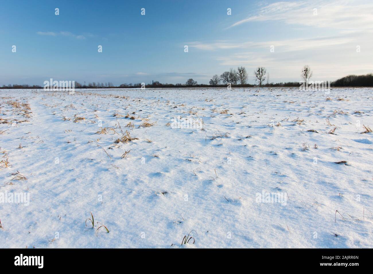 Field landscape with trees hi-res stock photography and images - Alamy