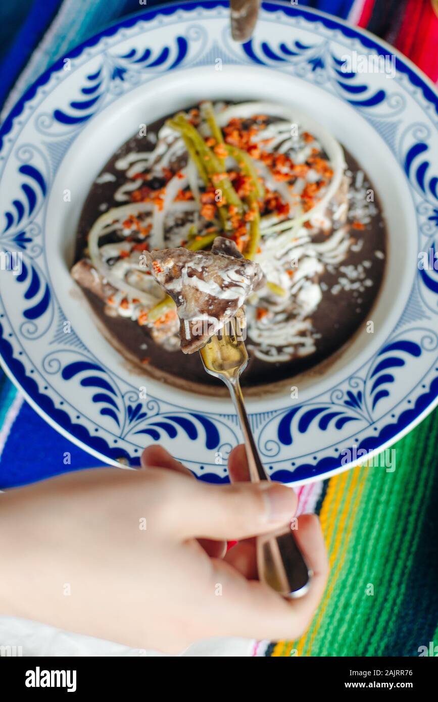 Mole Mexicano, Poblano mole ingredients, mexican spicy food traditional ...