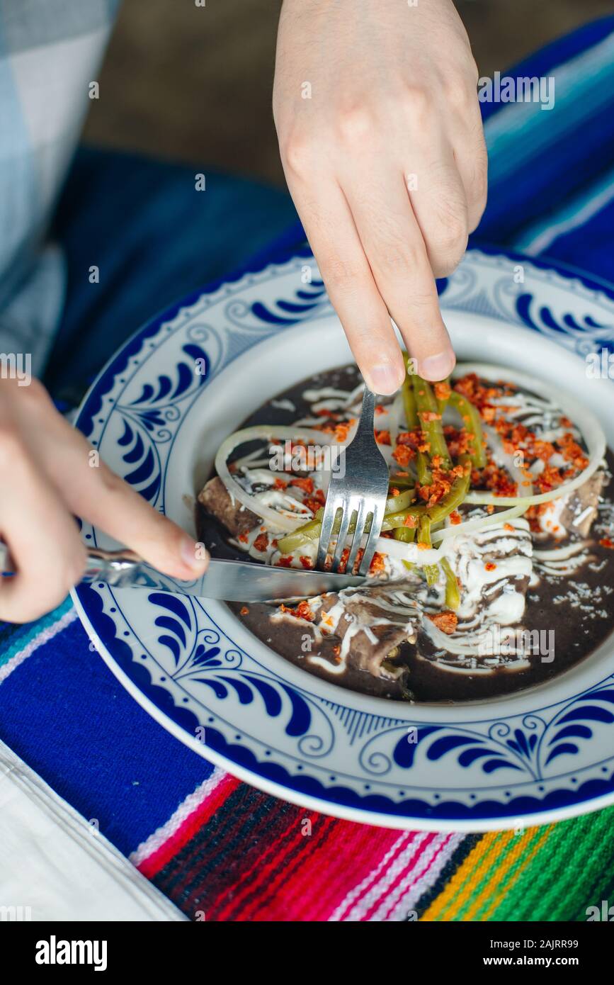 Mole Mexicano, Poblano mole ingredients, mexican spicy food traditional ...