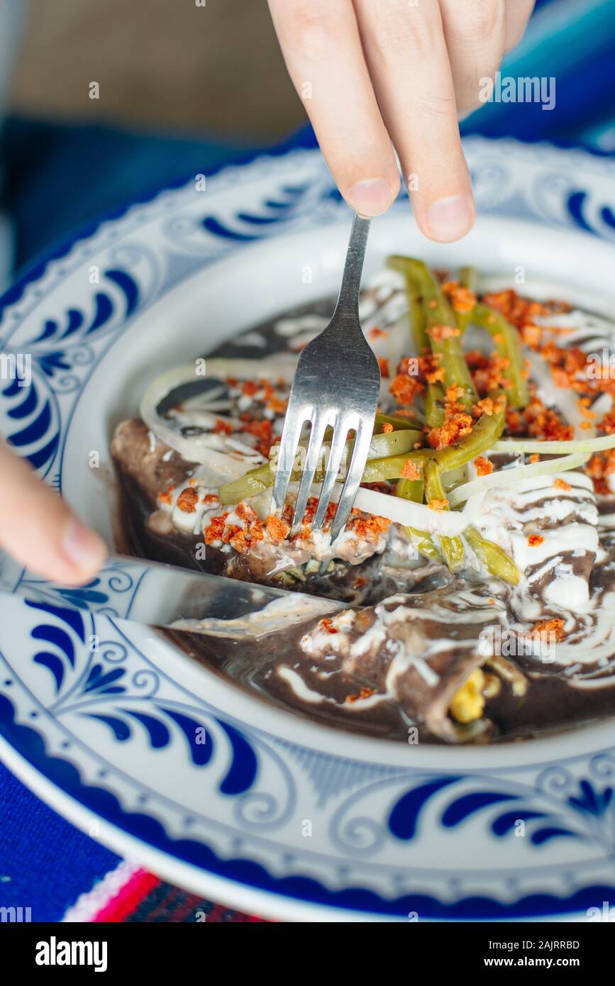 Mole Mexicano, Poblano mole ingredients, mexican spicy food traditional ...