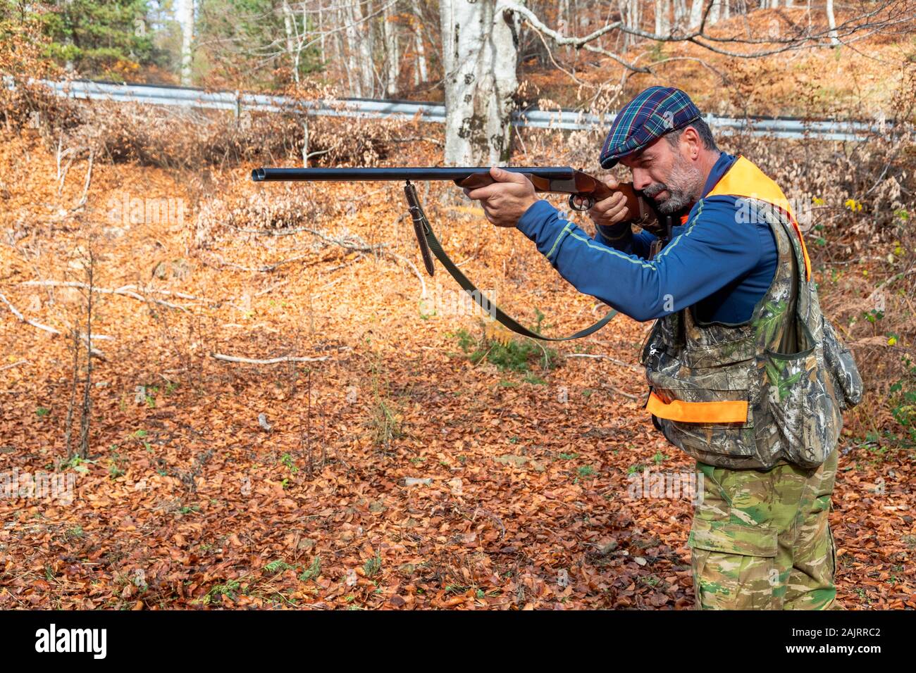 Hunt forest hi-res stock photography and images - Alamy