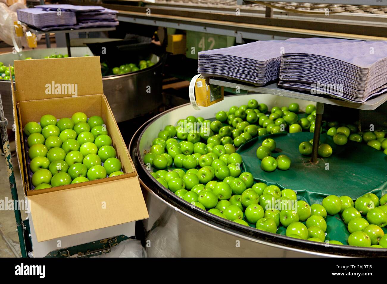Fruit packaging hi-res stock photography and images - Alamy