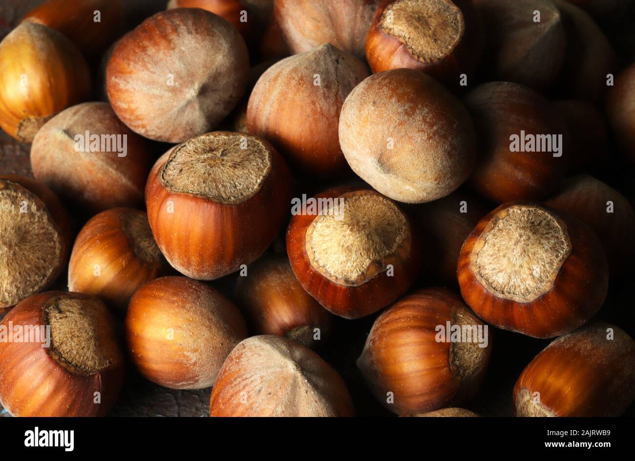 Closeup of group of Hazelnuts on wooden table. Hazelnut composition and ...