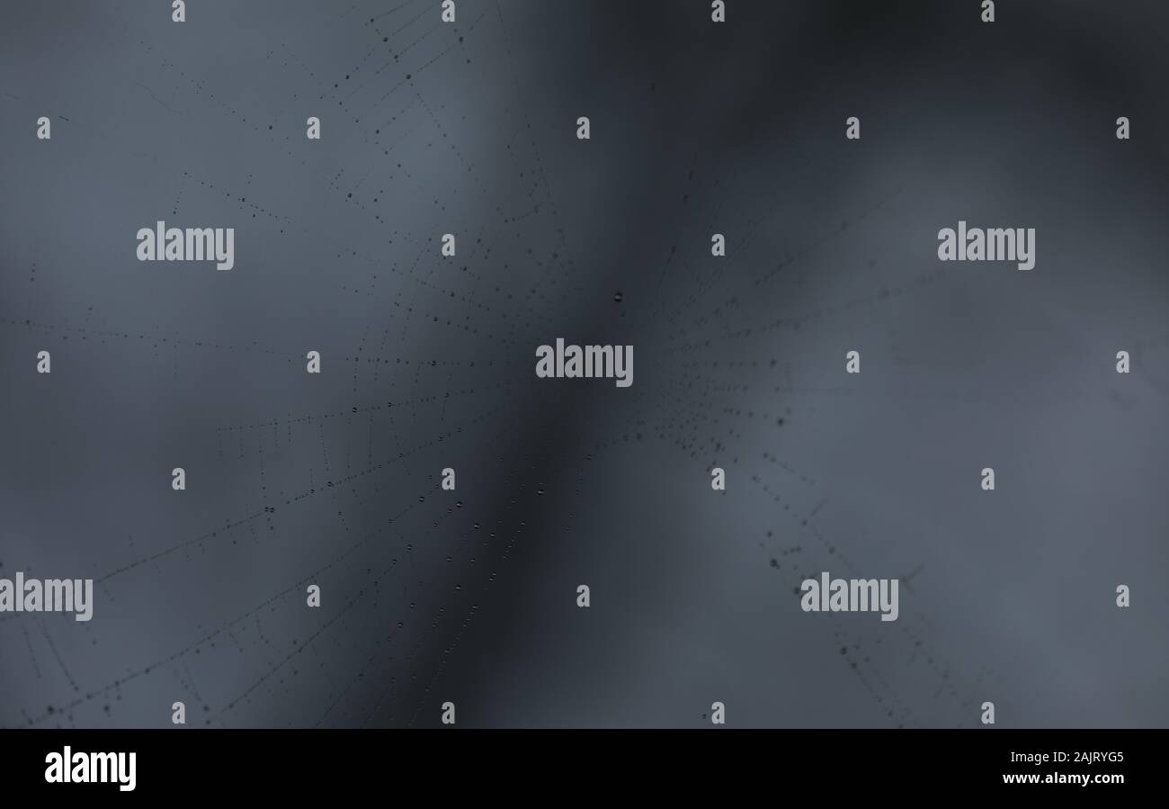 Dusty cobweb spider web hi-res stock photography and images - Alamy