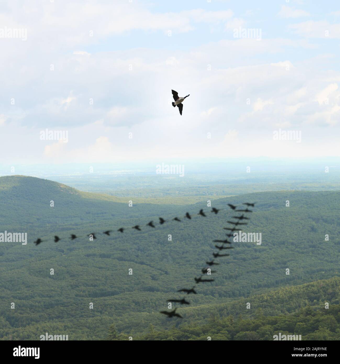 Business Leadership teamwork concept as a corporate leader symbol as a ...