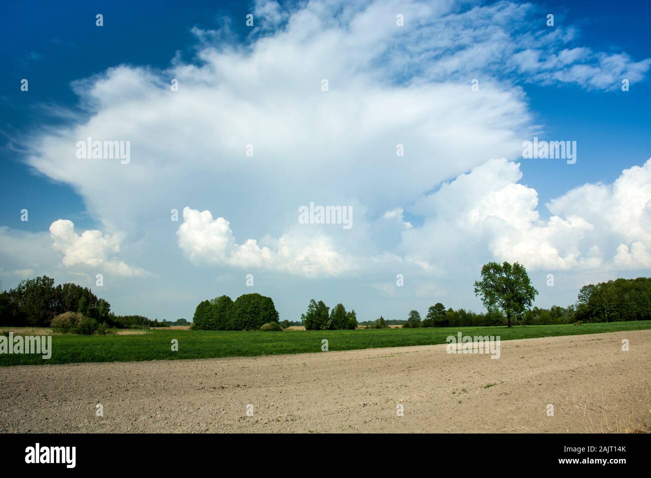 Big grass field hi-res stock photography and images - Alamy