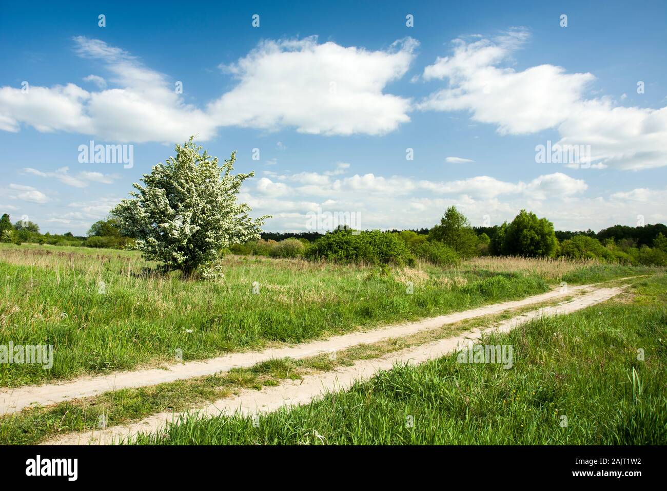 Meadow landscape tree hi-res stock photography and images - Alamy