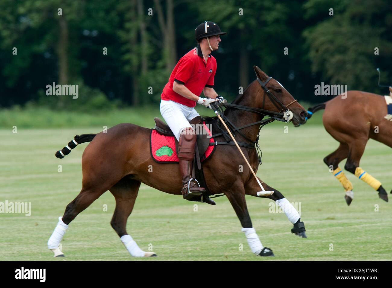 Royal family charity polo match cirencester hi-res stock photography ...