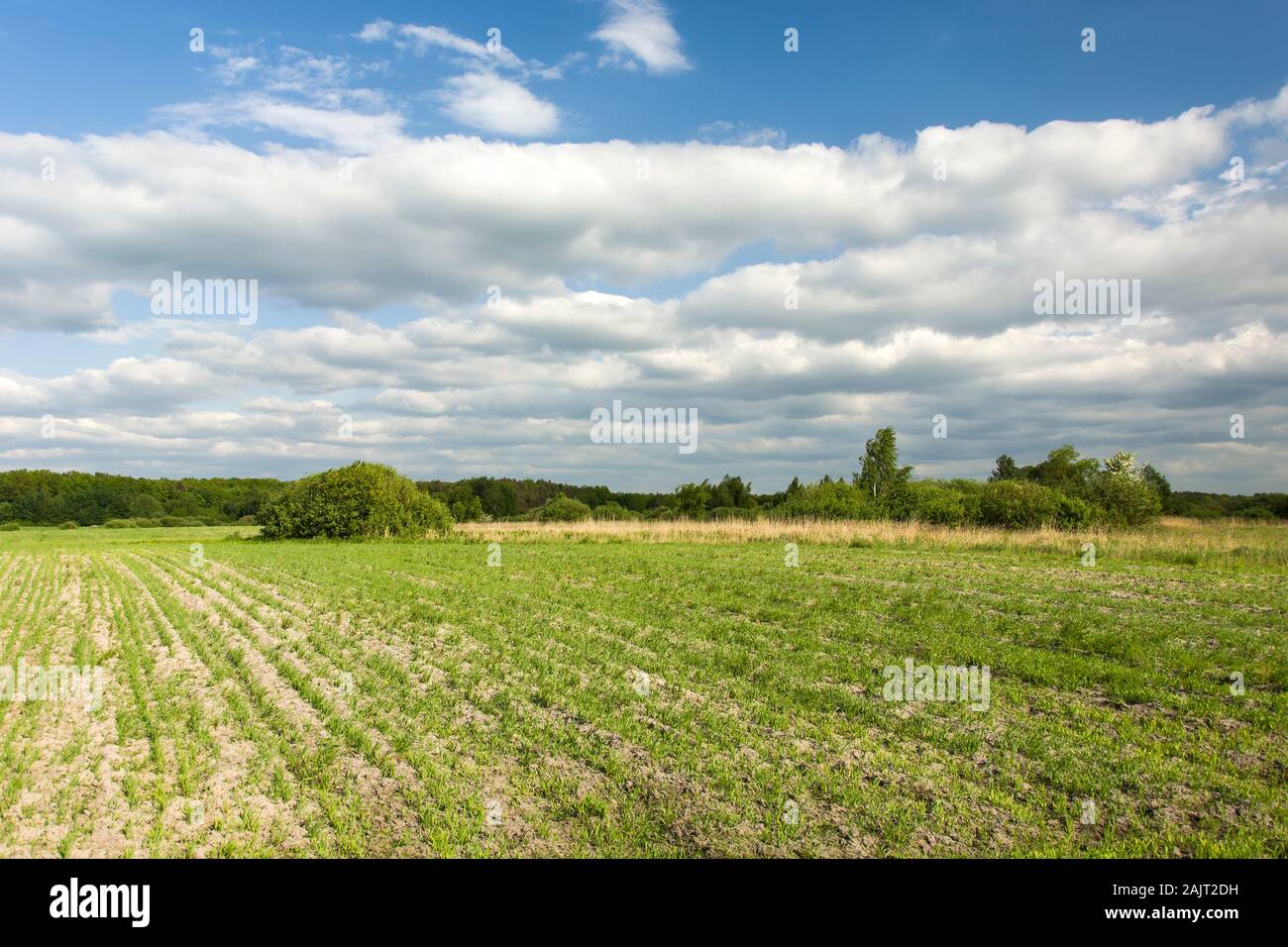 Rural field hi-res stock photography and images - Alamy