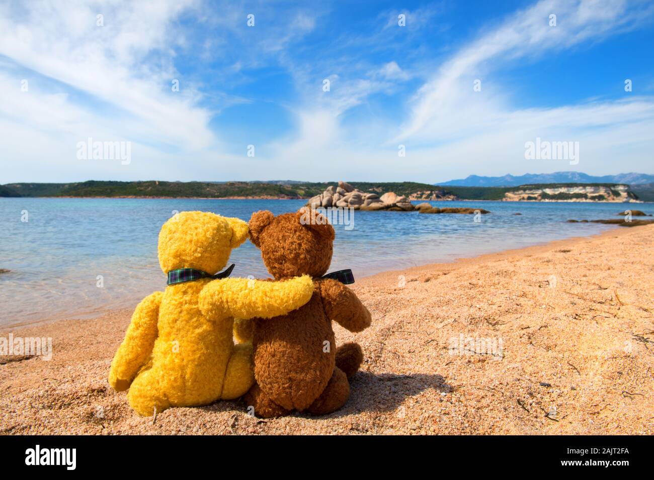 Couple bears at the beach on French island Corsica Stock Photo - Alamy