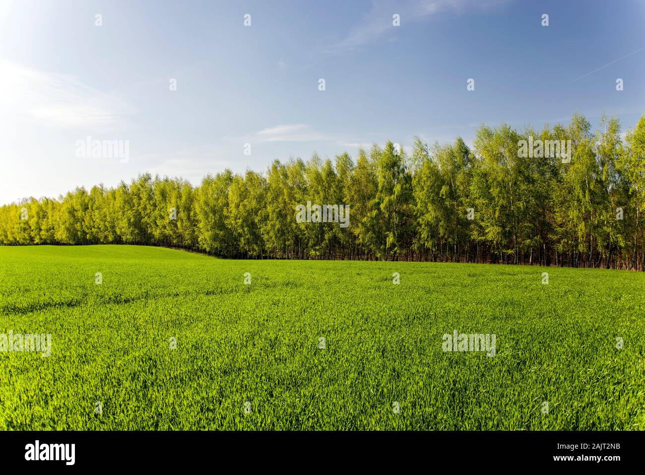 Green grass field rural hi-res stock photography and images - Alamy