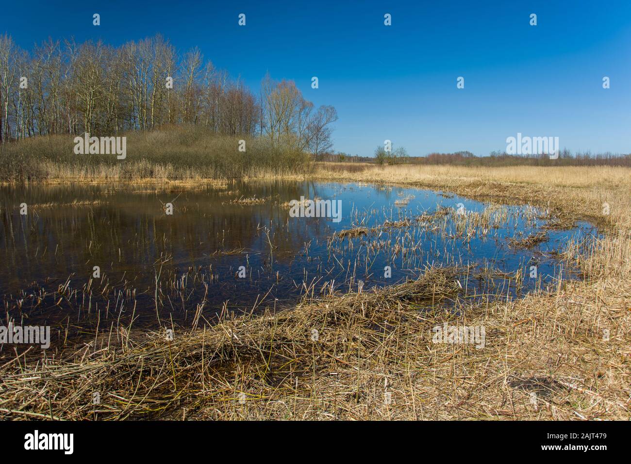 Flooded grove hi-res stock photography and images - Alamy