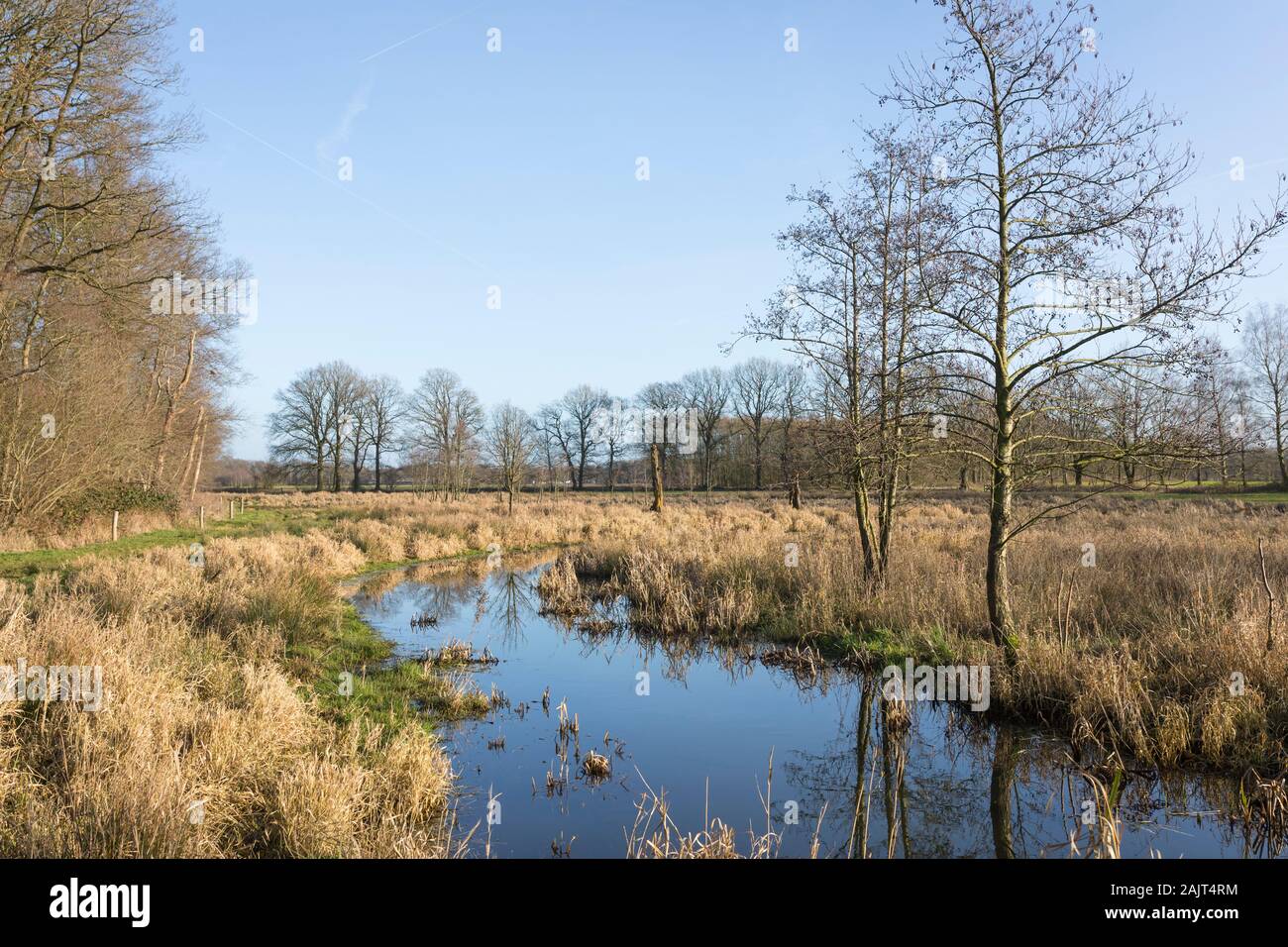 Meandering streamlet in nature landscape with raised water level at ...