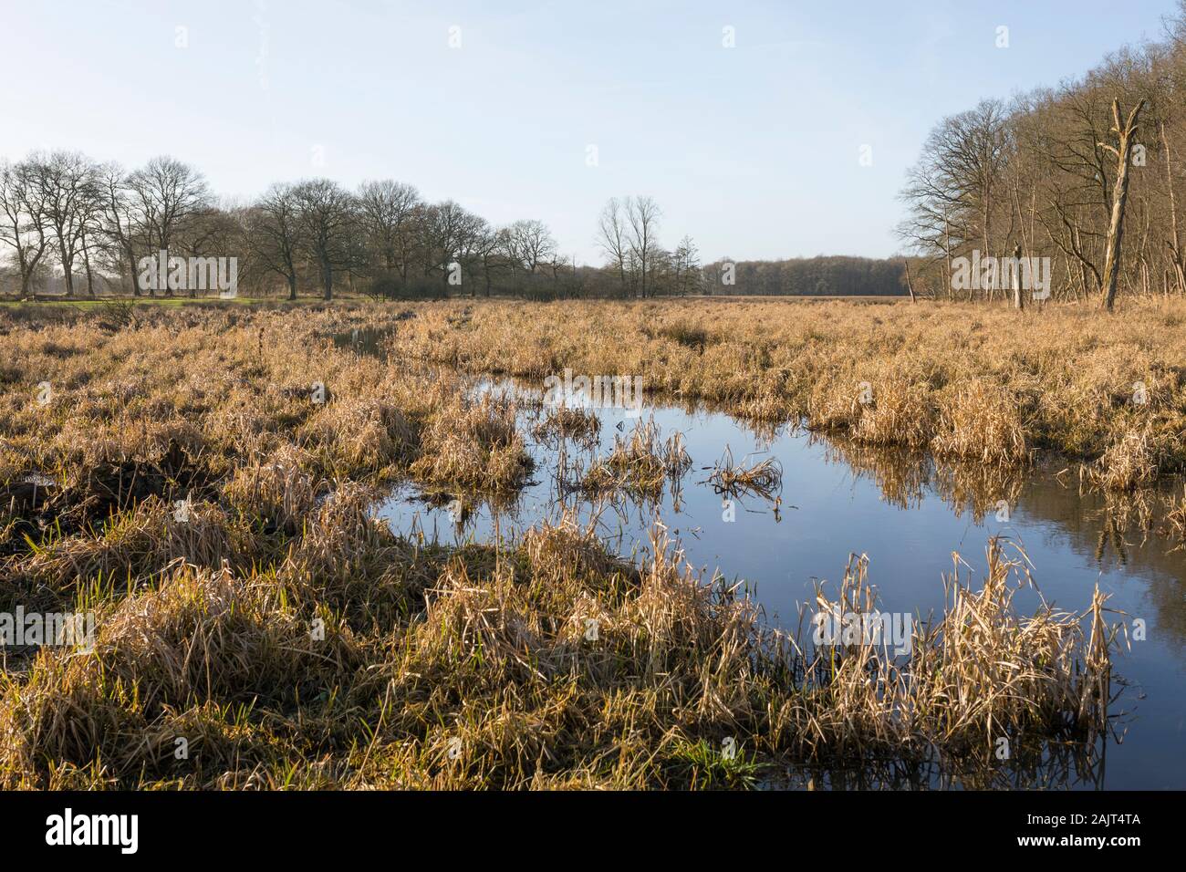 Meandering streamlet in nature landscape with raised water level at ...