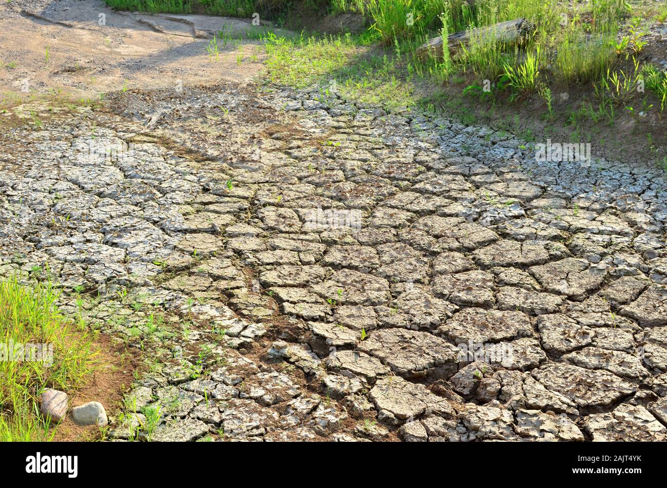 Dry lake or swamp in the process of drought and lack of rain or ...