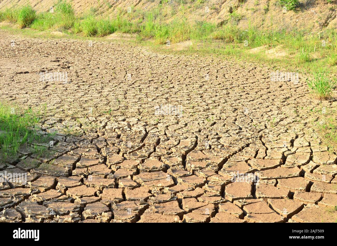 Dry lake or swamp in the process of drought and lack of rain or ...