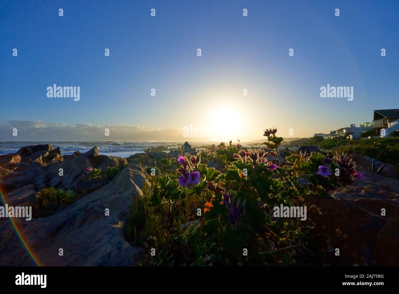 Sea front of Hermanus in south Africa Stock Photo - Alamy