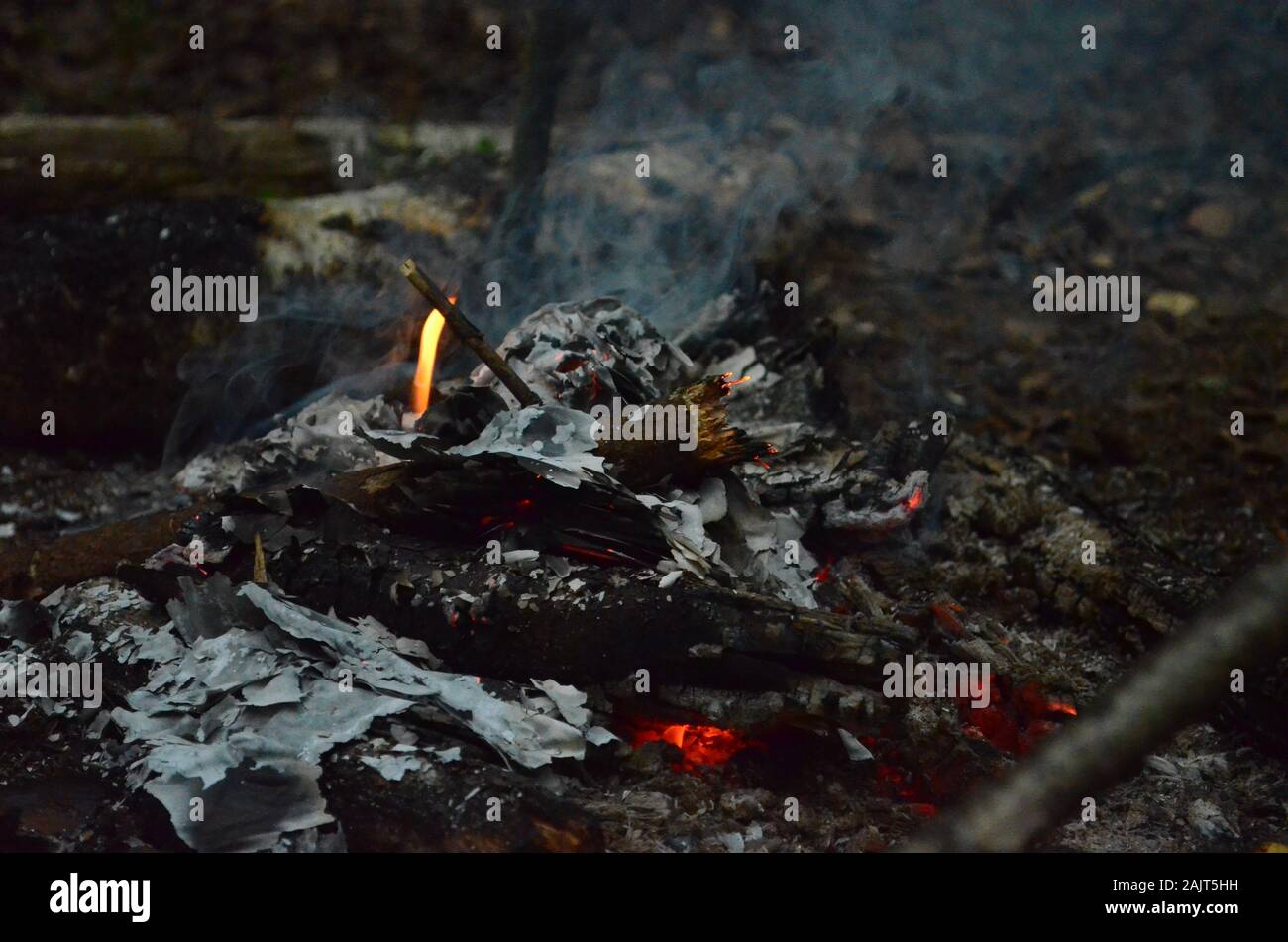Glowing embers in hot red color. The hot embers of burning wood log ...