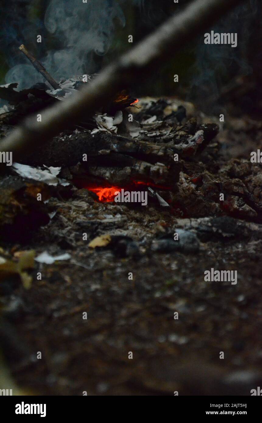 Glowing embers in hot red color. The hot embers of burning wood log ...