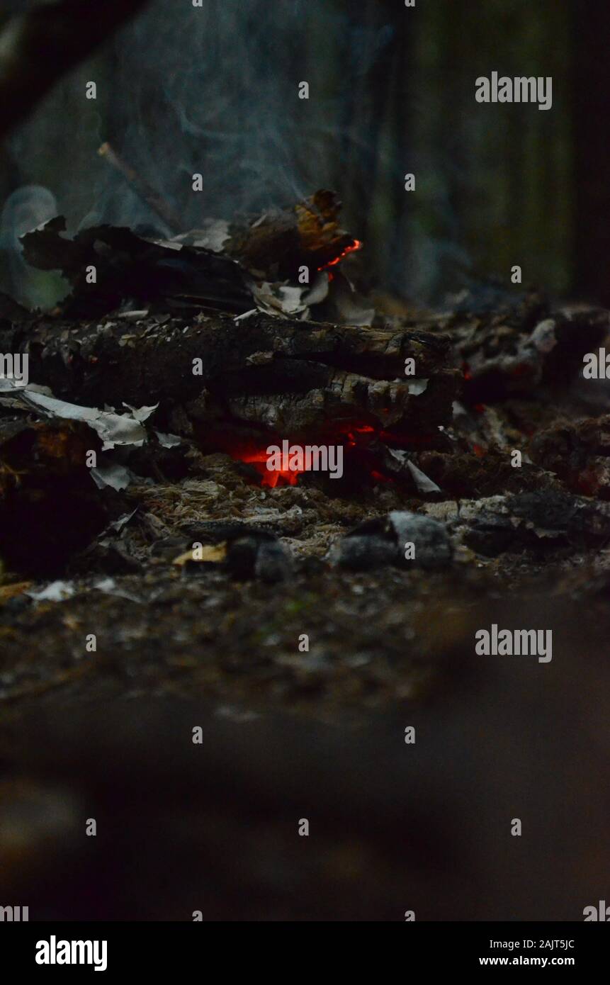 Glowing embers in hot red color. The hot embers of burning wood log ...