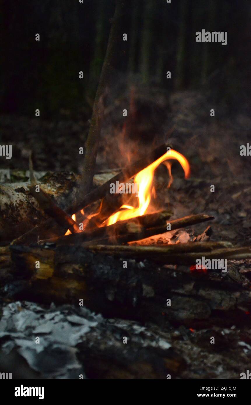 Glowing embers in hot red color. The hot embers of burning wood log ...