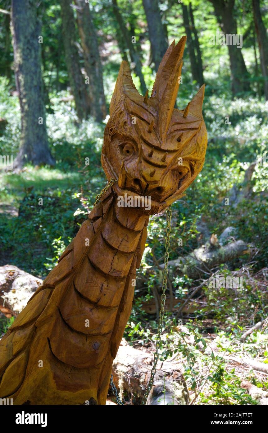 Dragon tree walk hi-res stock photography and images - Alamy