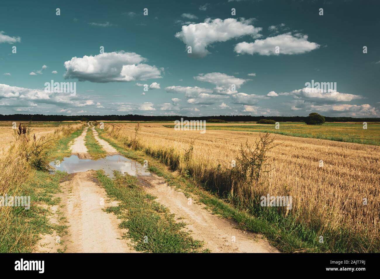 Puddle on road hi-res stock photography and images - Alamy