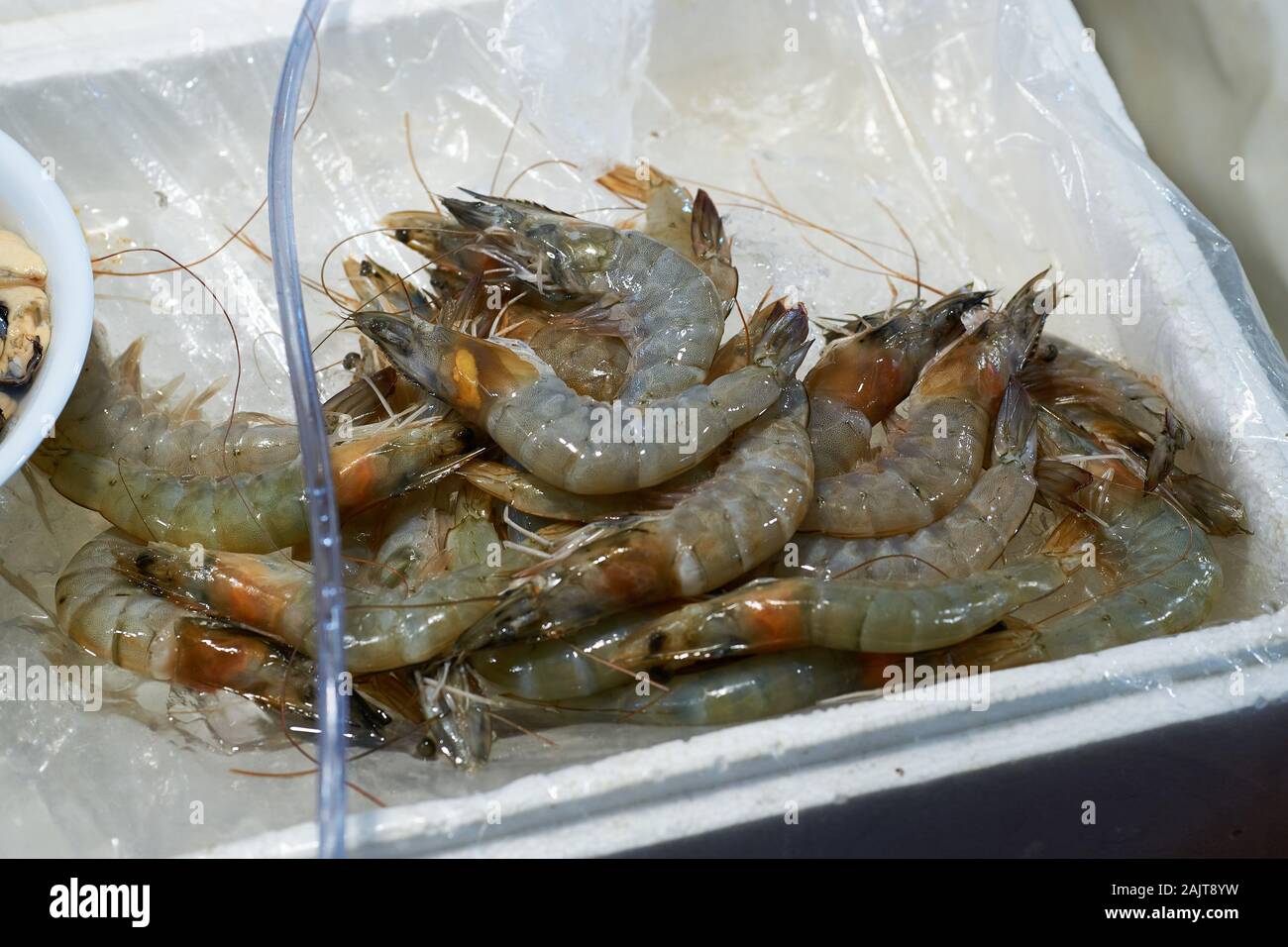 Large fresh, raw, whole shrimp for sale in a Styrofoam container with ...